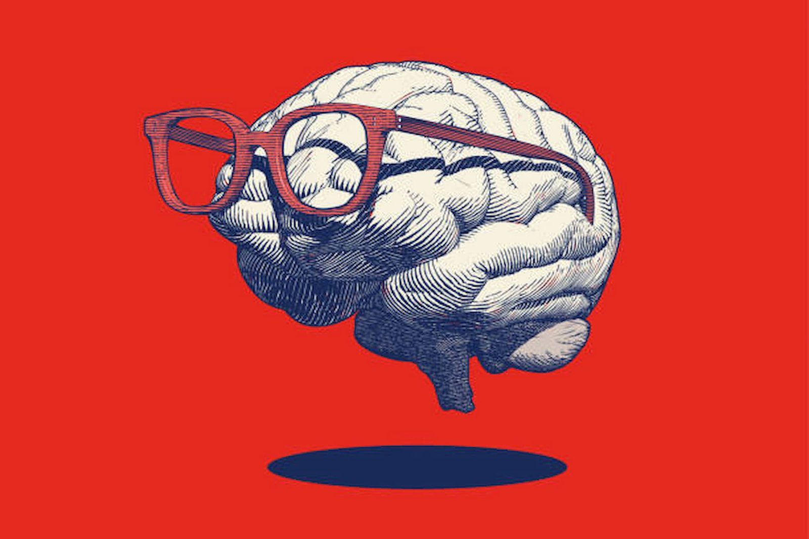 Why Every Brand Needs Vector Artwork for Visual Storytelling